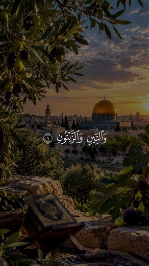 سورة التين 🤍 #اكتب_شي_توجر_عليه #قران_كريم #quran #سعد_الغامدي #creatorsearchinsights