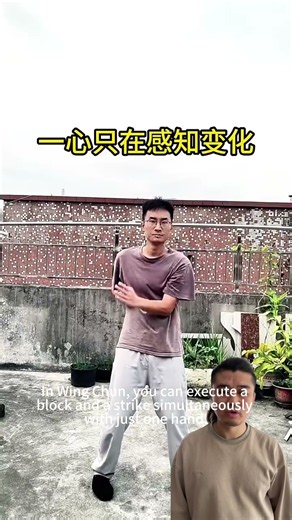 In Wing Chun, you can execute a block and a strike simultaneously with just one hand #kungfu