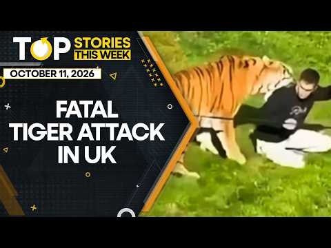 Fatal Tiger Attack in UK: What Happened at Yorkshire Wildlife Park | WION TOP STORIES