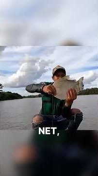 They Used Small Fish as Bait Then Caught Two Giant Catfish 🦈😱