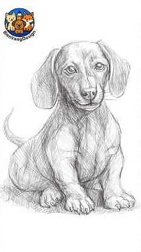 How to Draw a Dachshund Dog 🐶 | Easy Step-by-Step Drawing for Beginners