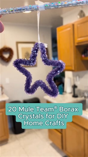Looking for a fun craft? Spend the night in doing some arts and crafts with the help of 20 Mule Team® Borax! #20MuleTeamBorax #BoraxHacks #CraftsWithBorax #CrystalCraft | 20 Mule Team Borax