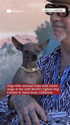 World’s Ugliest Dog Contest celebrates beauty in all forms