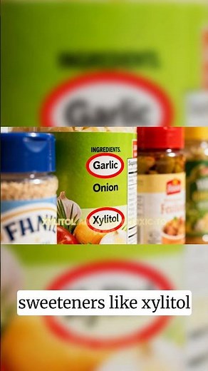 Hidden Dangers: Processed Tomato Products and Dogs!