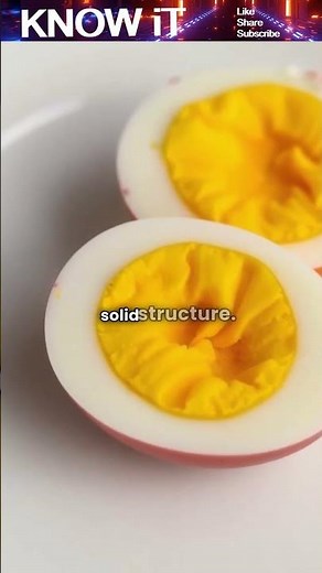 Why does an Egg solidify when Heated?