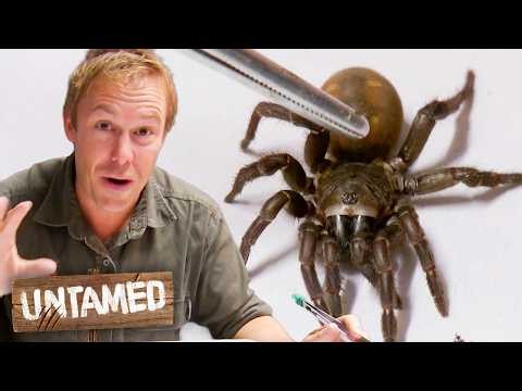 The Wild Life Of Tim Faulkner | Season 2 Marathon