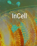 InCell / InCell VR - FitGirl Repacks