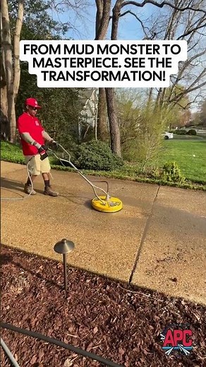 Professional Driveway Cleaning