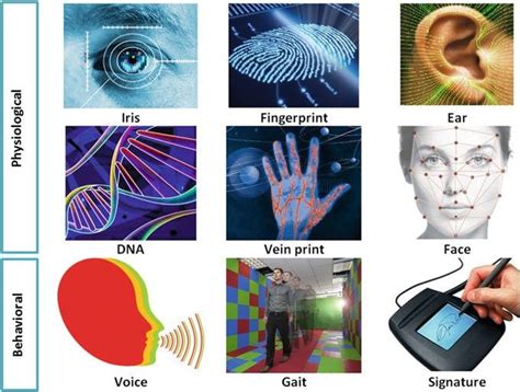 recreating fingerprints using convolutional autoencoders iris