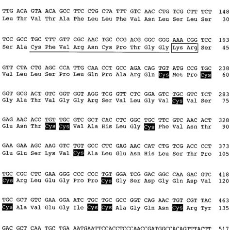Nucleotide Sequence And Deduced Amino Acid Sequence Of The Annetocin