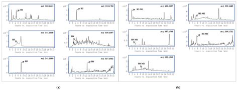 Metabolites Free Full Text Sex Differences In The In Vivo Exposure
