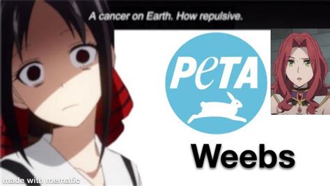 Lets Be Honest This Is Just Facts R Animemes