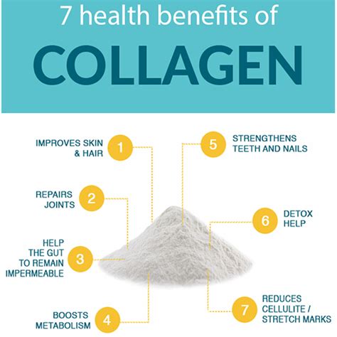 Importance And Benefits Of Collagen For Skin Eshaistic Blog