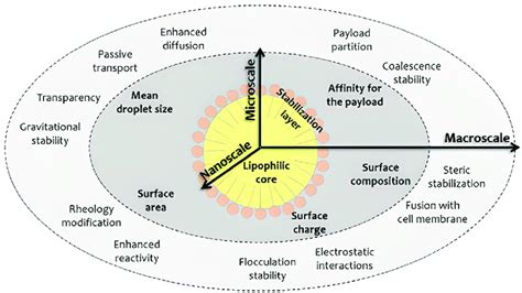 Schematic Representation Of Nanoemulsion And Related Properties At