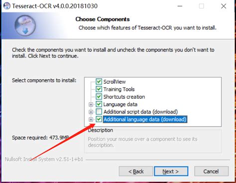 runtimeerror failed to init api possibly an invalid tessdata hot sex