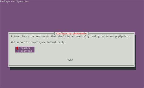 how to install lemp stack with phpmyadmin in ubuntu 20 04