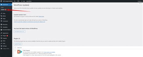 How To Enable Automatic Updates For Wordpress Plugins And Themes 2024
