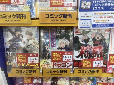 アニメイトフジグラン東広島 On Twitter 【書籍入荷情報】 『bleach 4 尸魂界篇 ①暗躍』『ラスボスの私が主人公の妻に