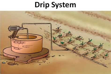 Irrigation Definition Benefits Traditional And Modern Methods