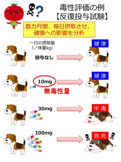 食品添加物の安全性評価を専門外でもわかるように解説します レコメンタンク