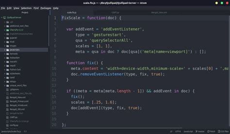 install atom on ubuntu and other linux [both 32 and 64 bit