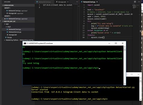 python network client and server using socket e lo