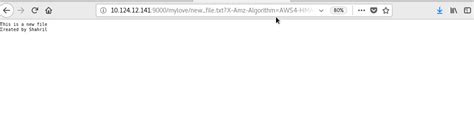 setting up minio server for storage architecture usage
