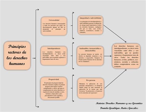 Principios Rectores De Los Derechos Humanos Principios Rectores De