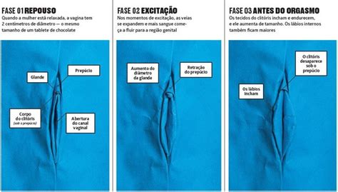 5 Fatos Científicos Sobre Os Orgasmos Galileu Ciência