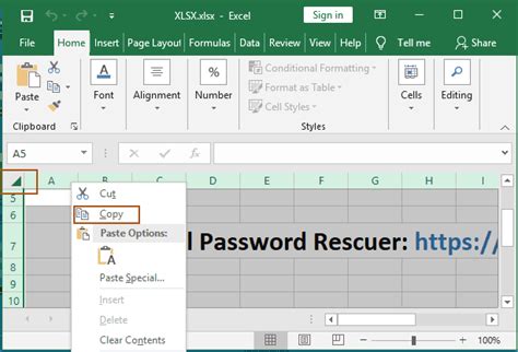 forgot excel workbook worksheet password how to recover