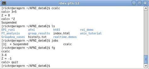 1 unix and shell commands — afni suma and fatcat v22 1 06