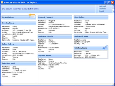 xceed datagrid for wpf standard screenshots