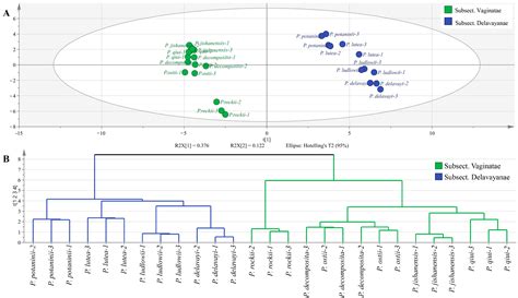 Ijms Free Full Text Comprehensive Metabolite Profile Uncovers The