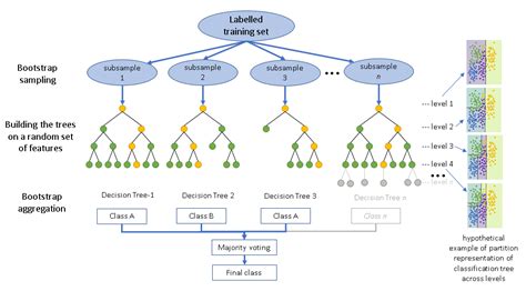 random forest — a sturdy algorithm by rishi kumar nerd for tech
