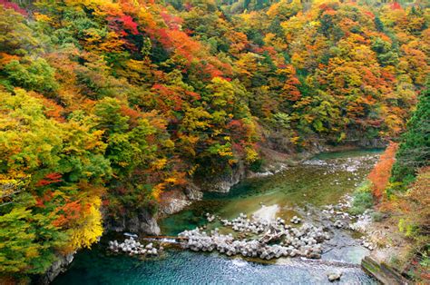 県立自然公園 付知峡 中津川観光協会公式webサイト