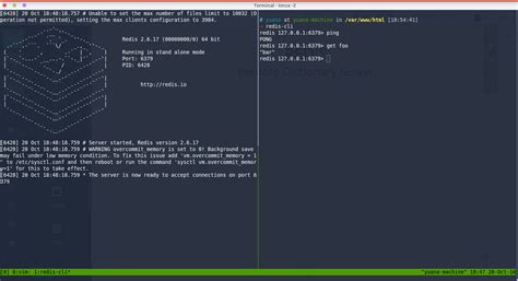 no sql using redis