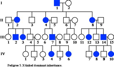kandace s biology blog inheritance patterns