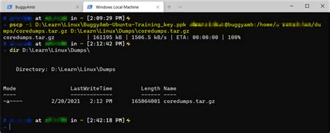 how to use pscp to transfer files from windows to linux systran box