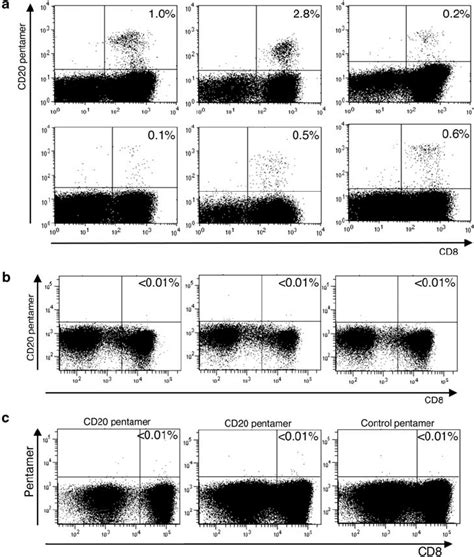 Induction Of T Cells Recognizing Cd20 And Hla A 0201 By Dendritic Cells
