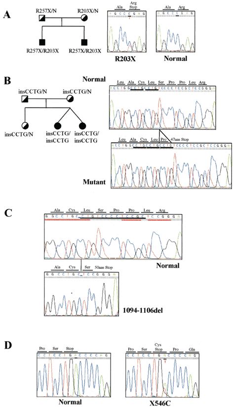 Electropherograms Showing The Sequence Surrounding The Mutations In The
