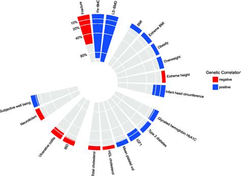 Genetic Correlations Between Tb Bmd And Other Traits And Diseases
