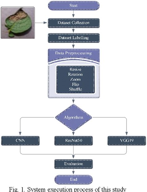 Figure 1 From A Deep Transfer Learning Based Approach To Detect Potato