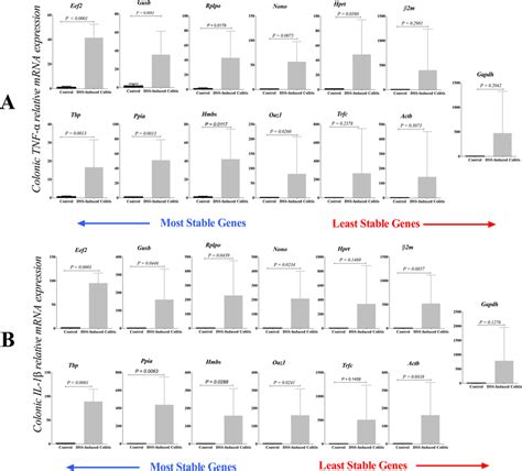 Effect Of Reference Gene Selection On The Relative Expression Of