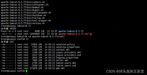 linux安装tomcat（图文解说详细版） 阿里云开发者社区