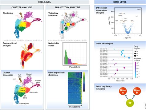[pdf] current best practices in single‐cell rna‐seq analysis a