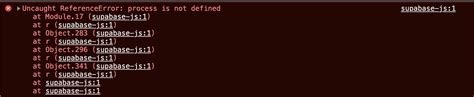 uncaught referenceerror process is not defined · issue