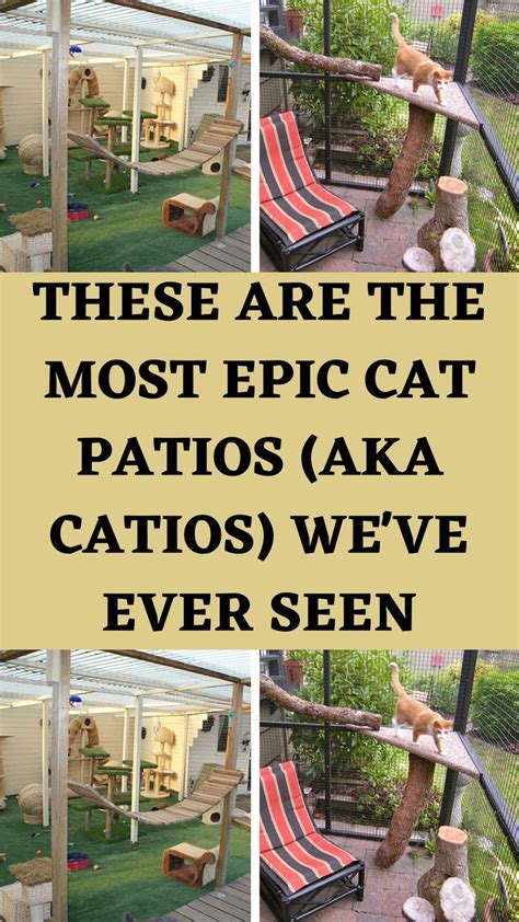 Cat Tree House Cat House Diy Cat House Plans Cat Tree Plans Outside