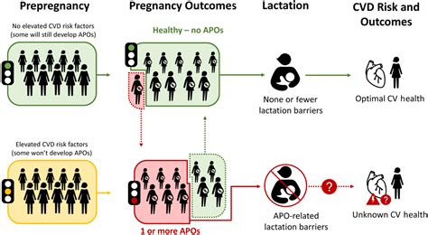 Adverse Pregnancy Outcomes The Missing Link In Discovering The Role Of
