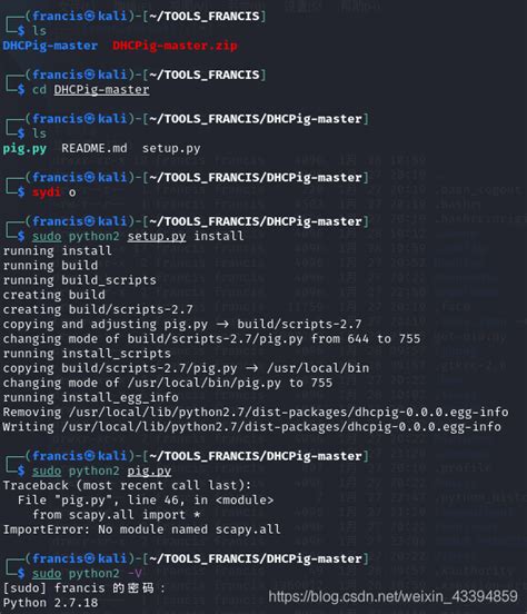 kali2020 4安装pip和setuptools： python黑洞网