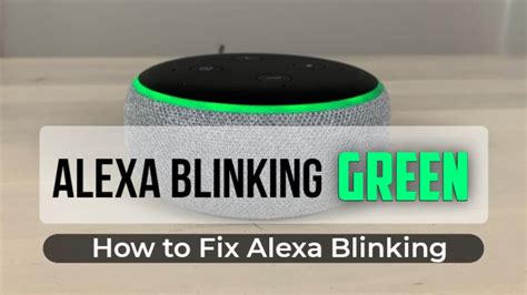 Why Has My Echo Dot Stopped Working